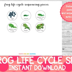 Frog Life Cycle Set, Memory Game, Frog Activity, Homeschool Printable ...