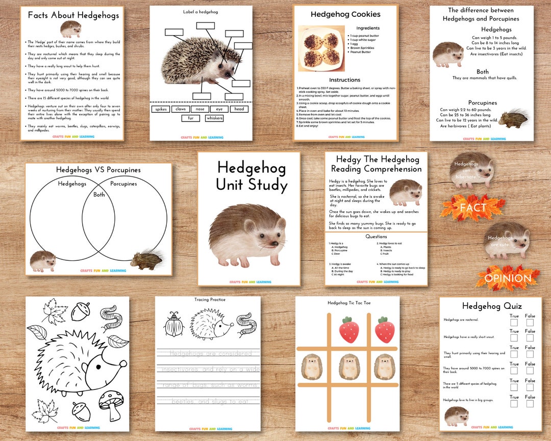 Hedgehog Unit Study, Hedgehog Learning Pack, Hedgehog Activity Pack ...