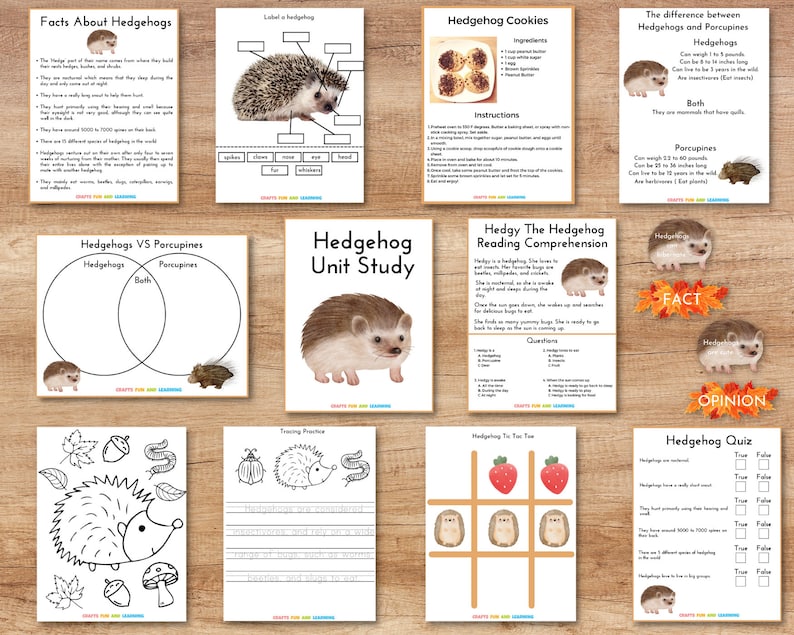 Hedgehog Unit Study Hedgehog Learning Pack Hedgehog Activity - Etsy