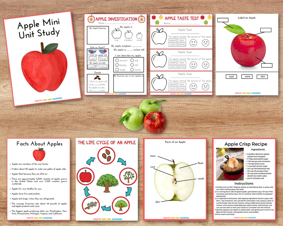 Apple Mini Unit Study Apple Unit Study Apple Learning Pack - Etsy