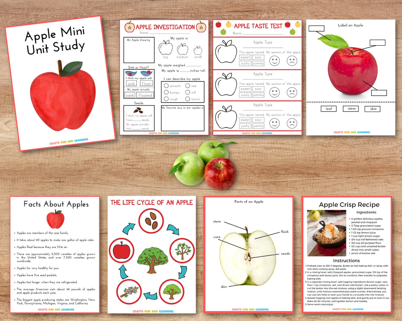Apple Mini Unit Study Apple Unit Study Apple Learning Pack - Etsy