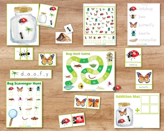 Bug Learning Pack Insect Learning Pack Bug Unit Study - Etsy