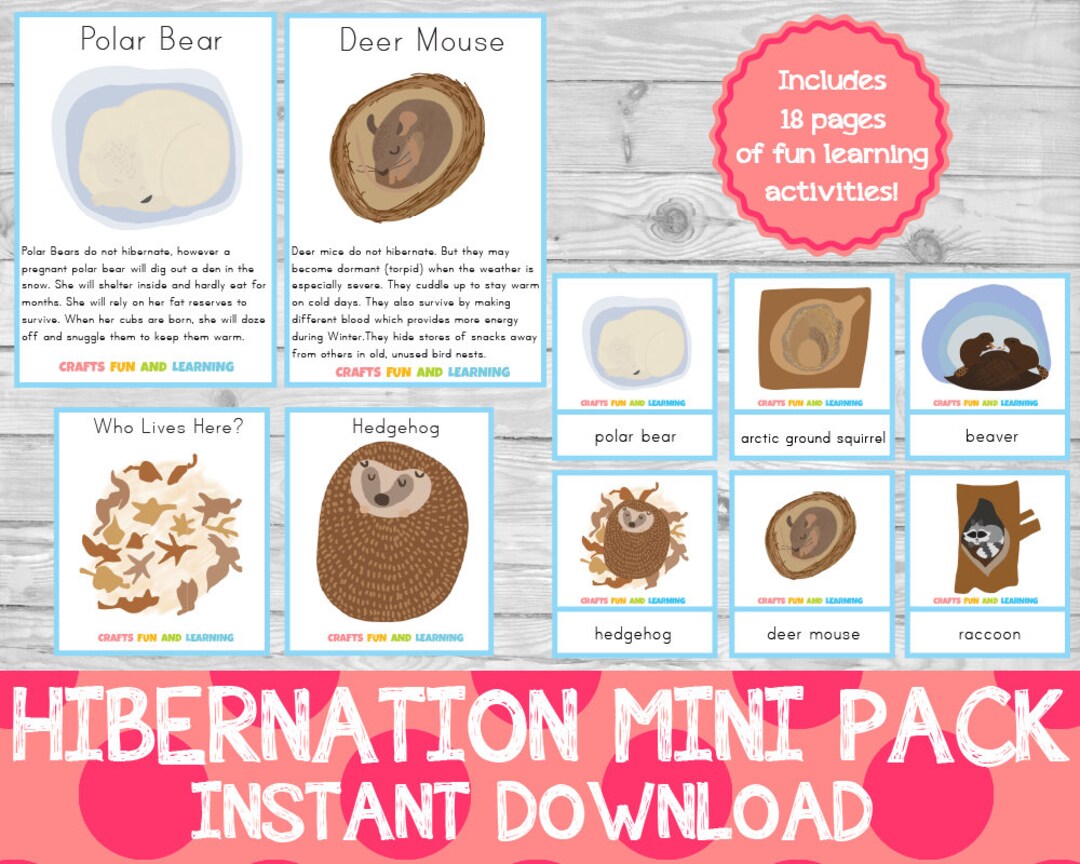 Hibernation Mini Pack - Etsy