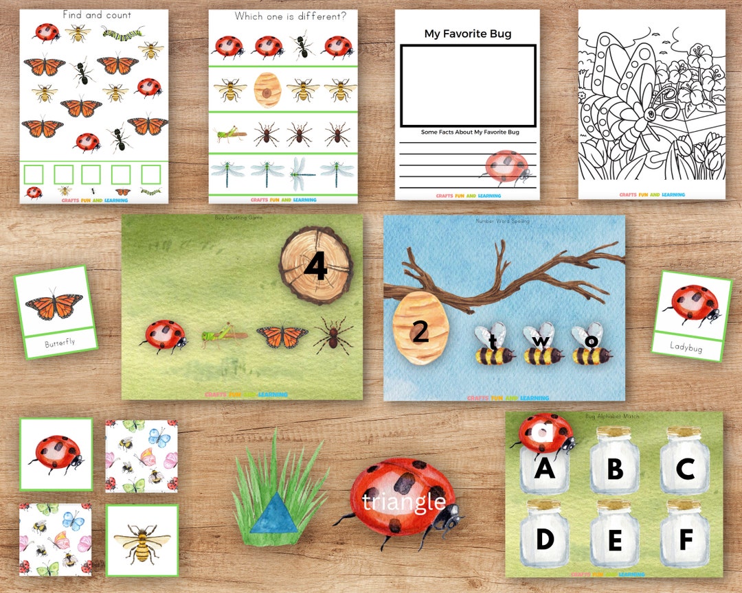 Bug Learning Pack - Etsy