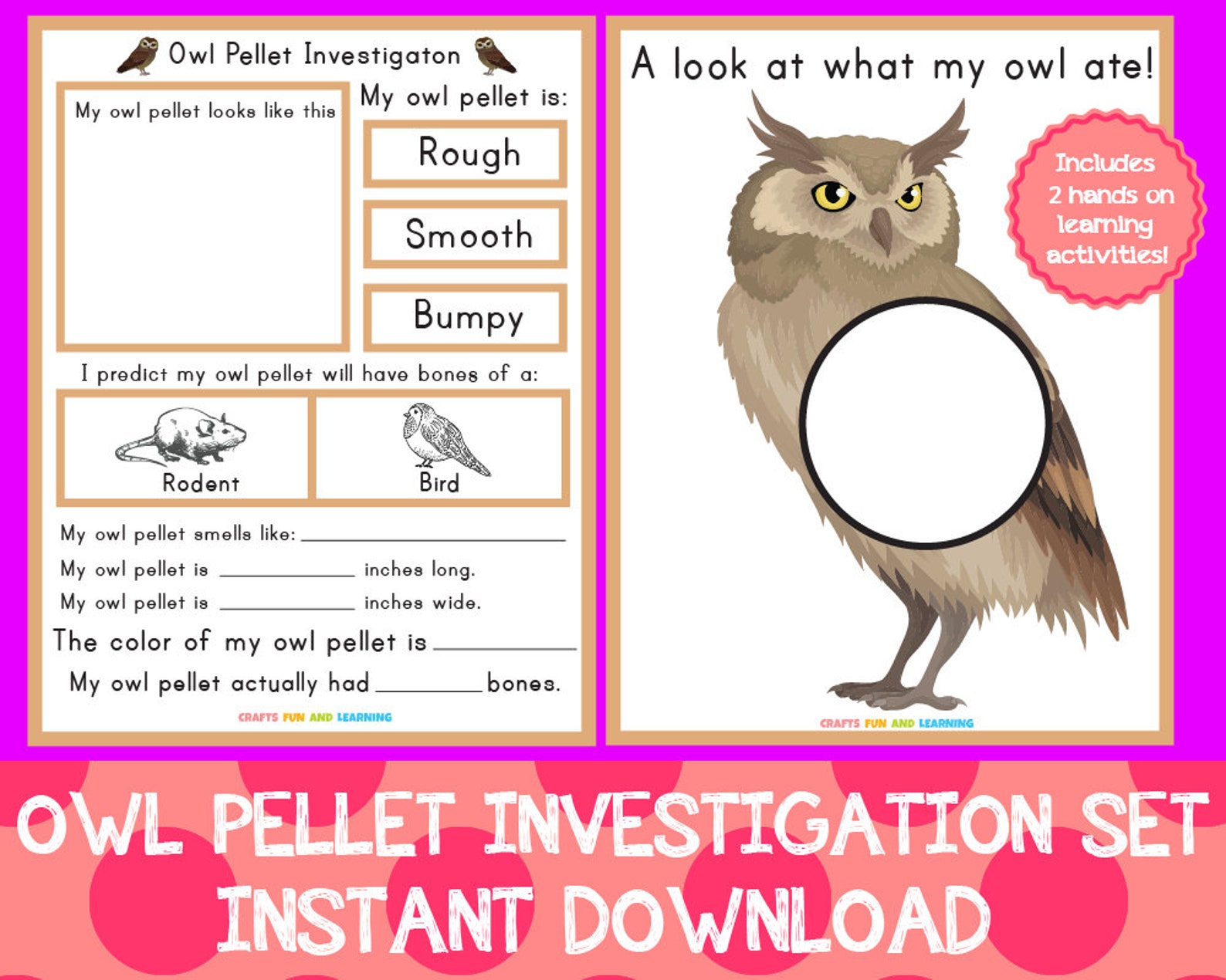Owl Pellet Investigation Set Owl Unit Study Owl Science Unit - Etsy