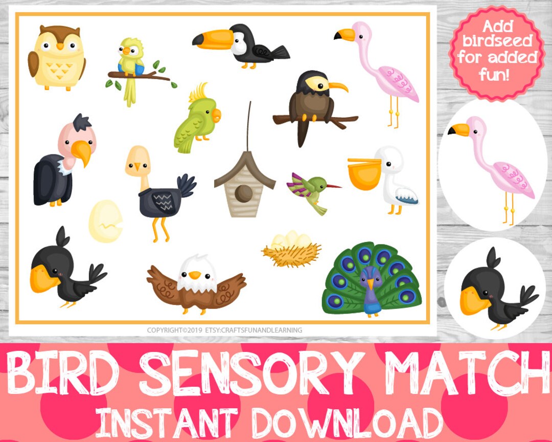 Bird Sensory Match, Bird Sensory Look and Find, Sensory Look and Find ...