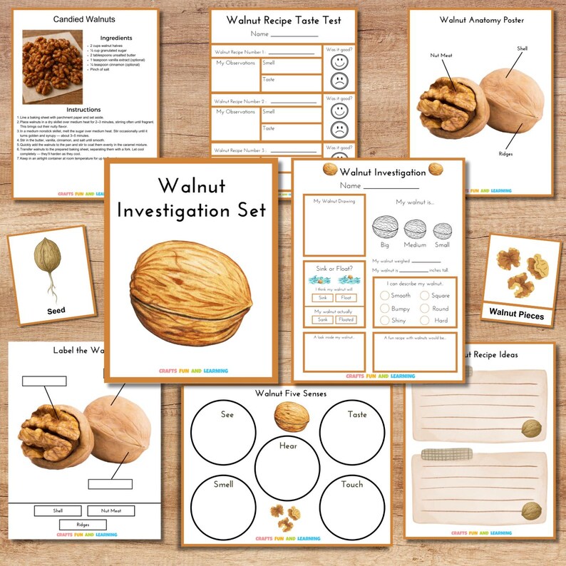 Walnut Investigation Set - Etsy