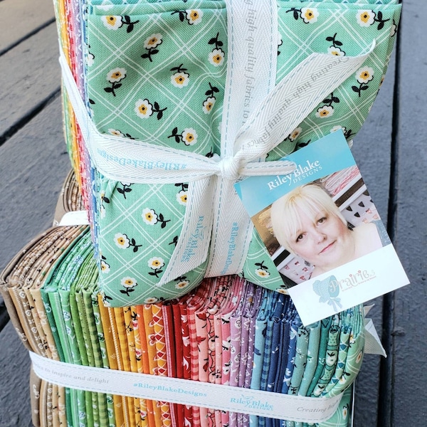 Lori Holt Clearance - Etsy