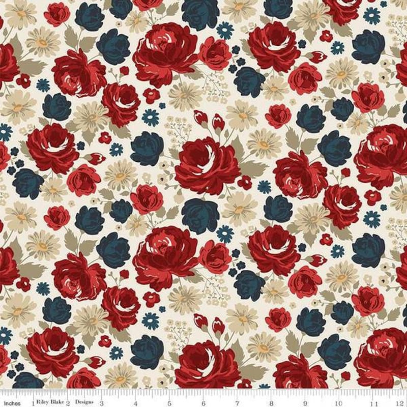 Clearance Fabric Riley Blake - Etsy