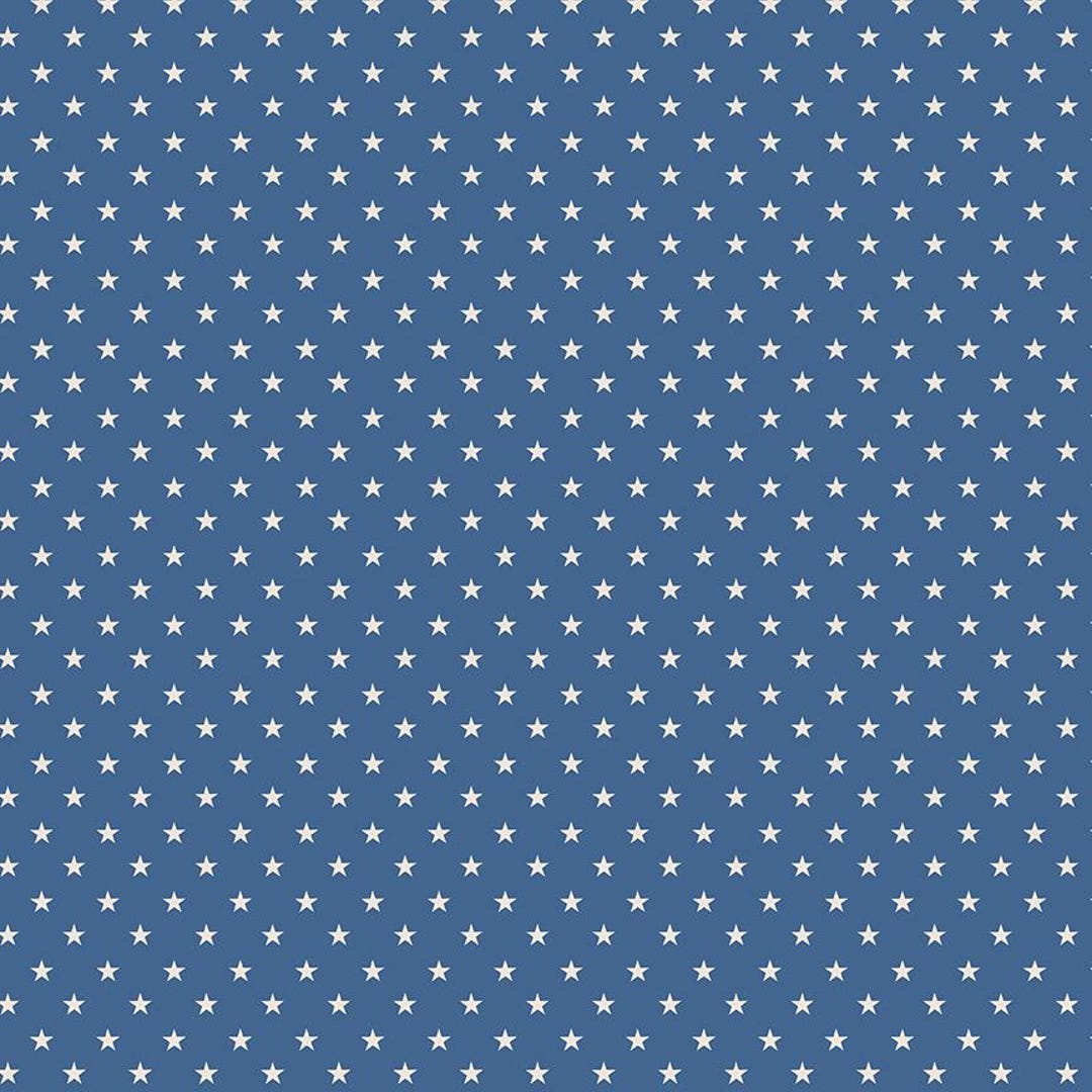 HARRY and ALICE Stars Blue Amanda Herring Riley Blake Designs - 100% ...