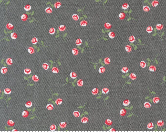 BEAUTIFUL DAY - Rosebuds - Slate Gray - Corey Yoder - 100% Cotton ...