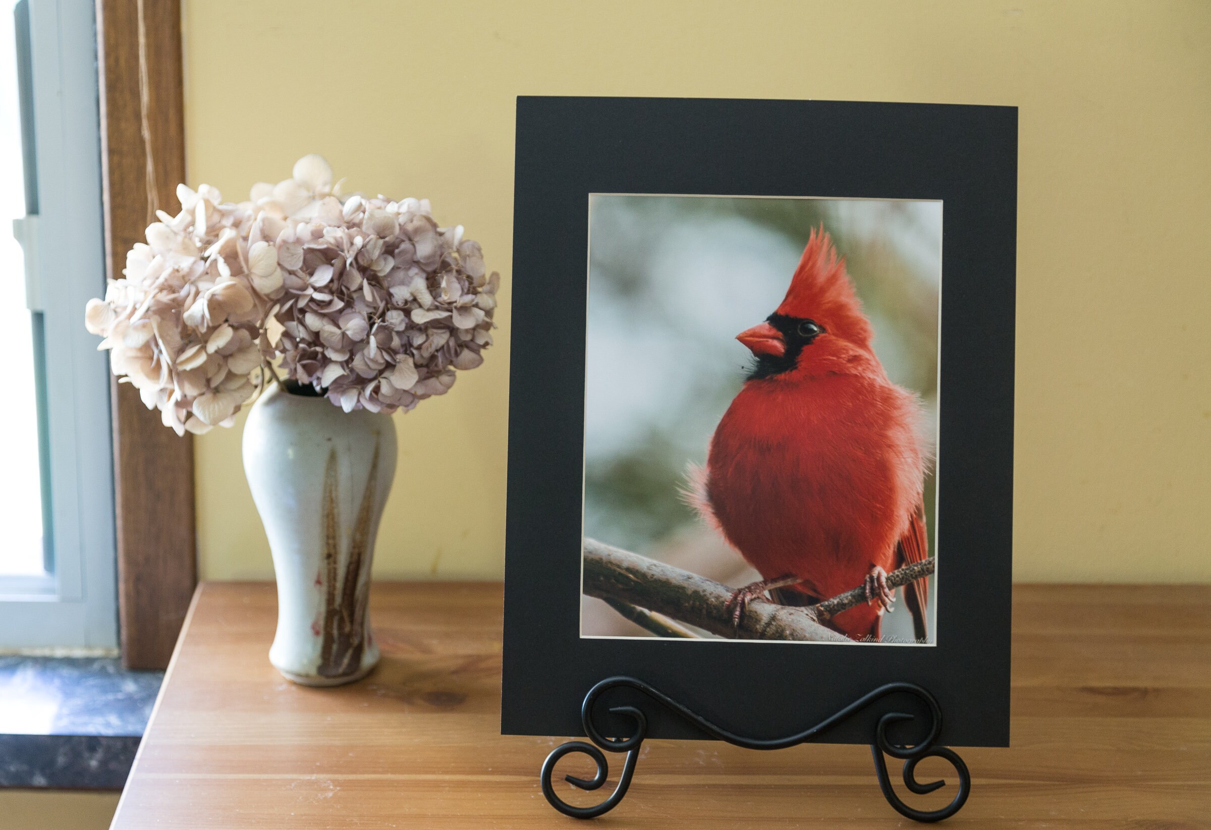 Magnificent Red Cardinal - Etsy