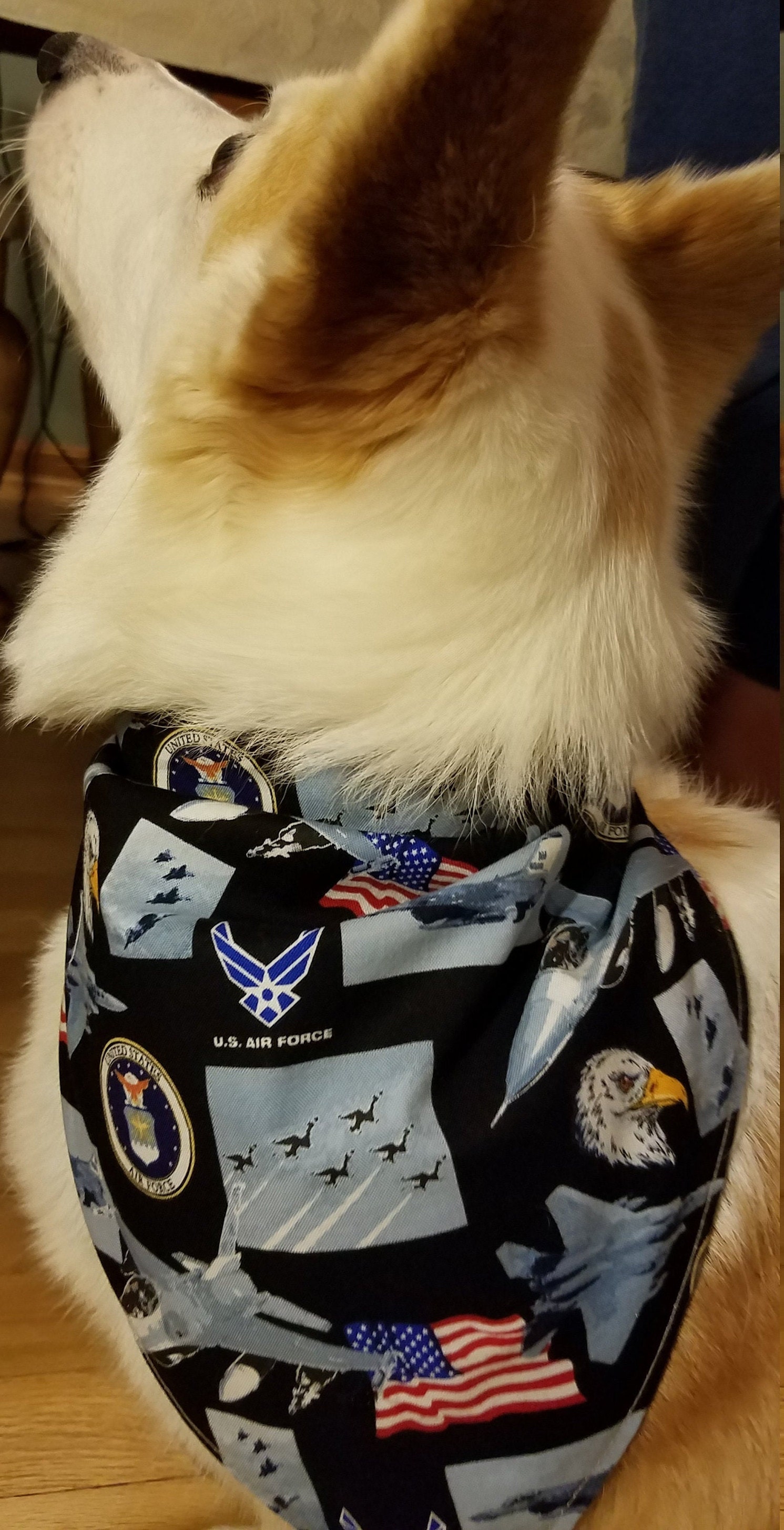 US Air Force Pet Bandanas Traditional Tie-on Bandana USAF - Etsy UK