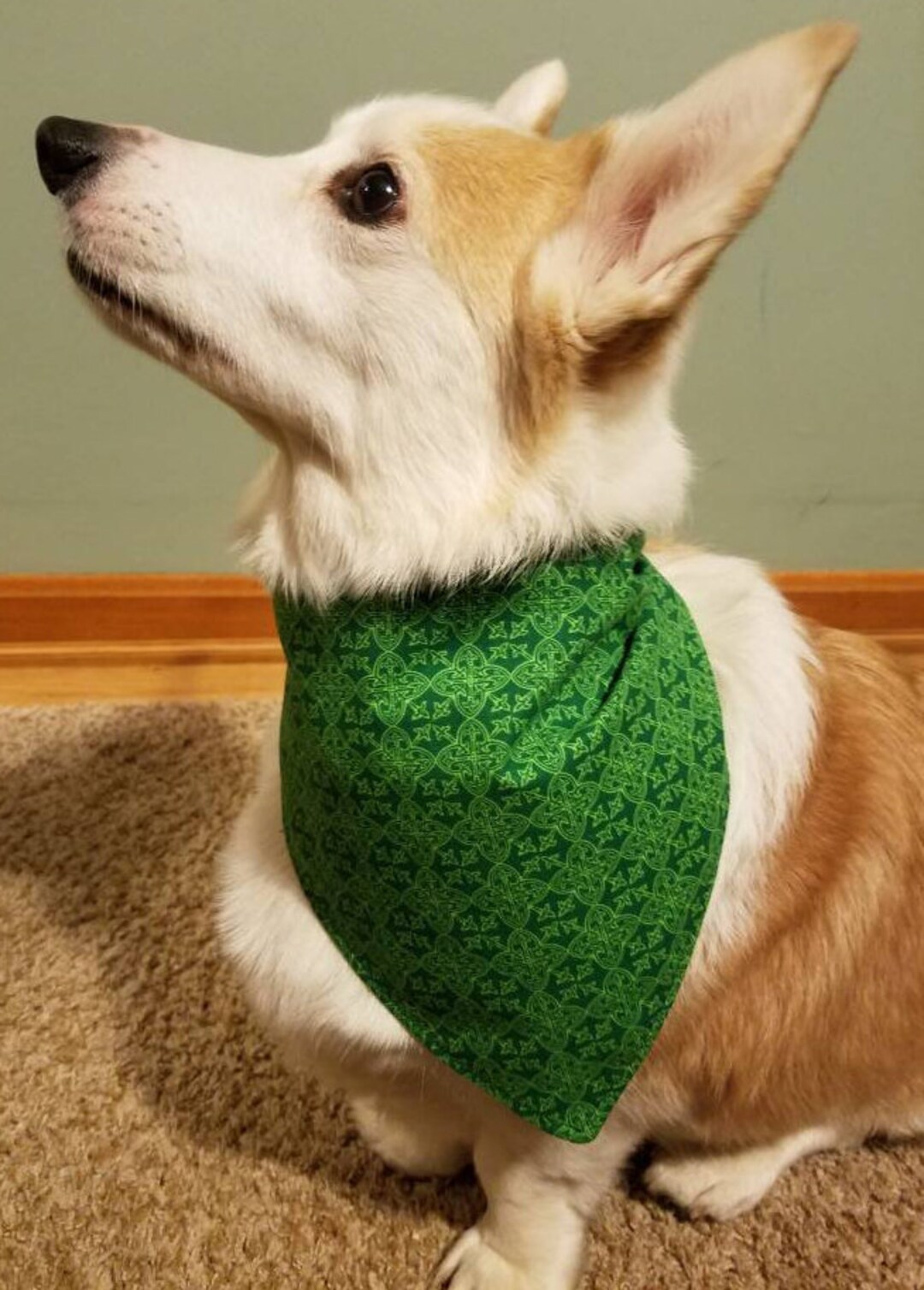Celtic Medallions, St. Patrick's Day Pet Bandanas, Traditional Tie-on ...