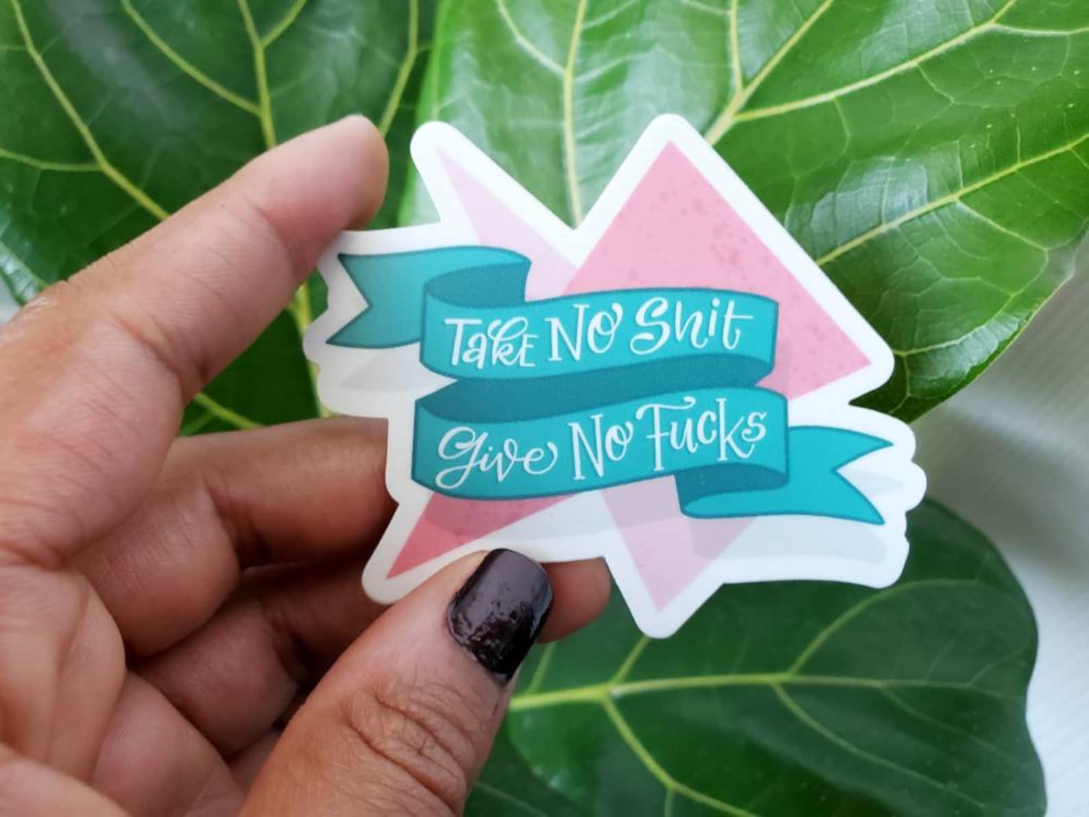 Take No Shit Give No Fucks Sticker / Laptop Decal - Etsy
