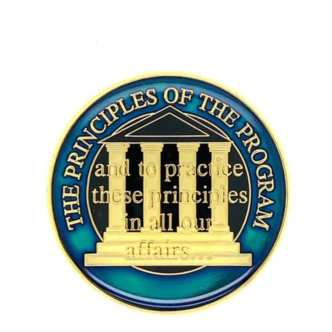The Principals of the Program Recovery Medallion - Etsy