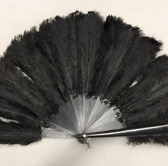 Late 1800s L Antique Black Ostrich Feather Hand Fan Black | Etsy