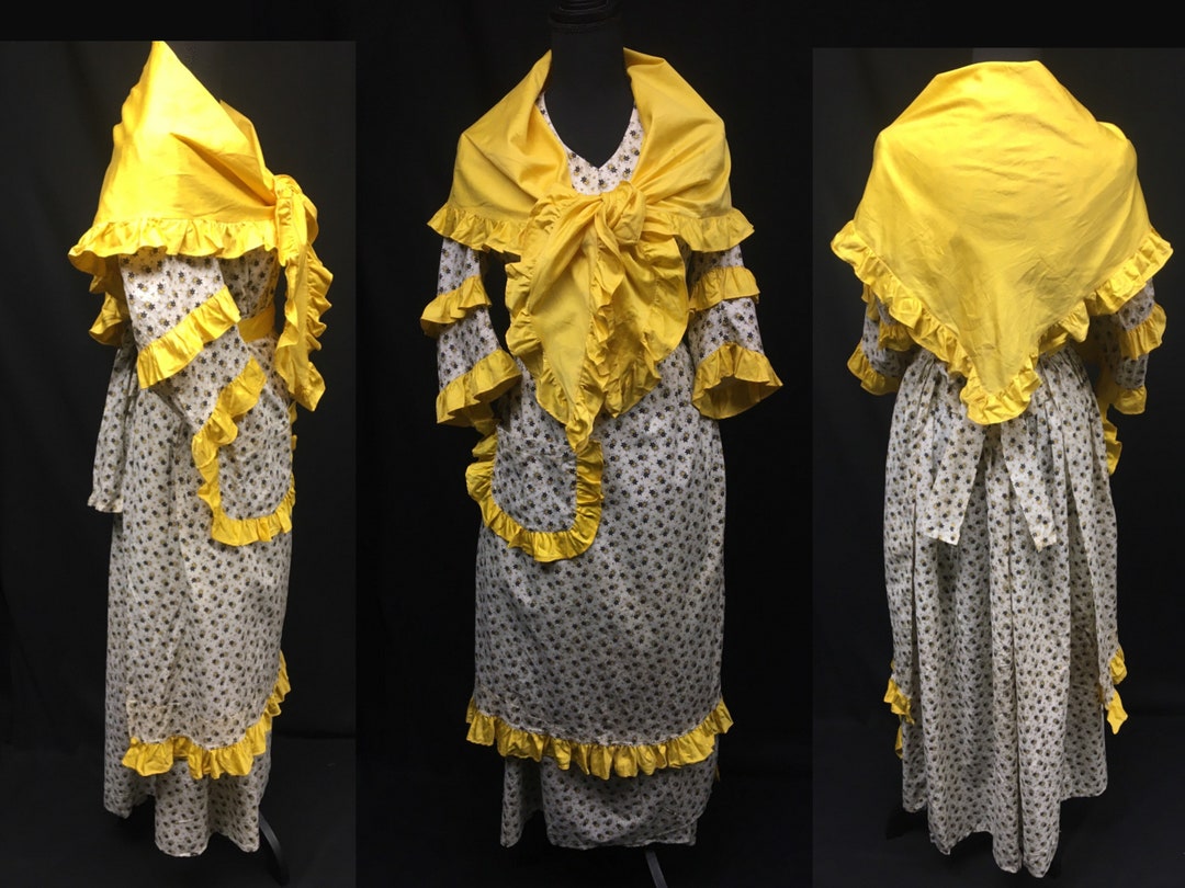 Prairie Pioneer Folk Costume: Bodice, Shawl, Skirt and Apron, Remnant ...