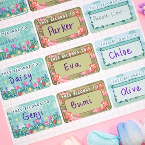 This Belongs to Sticker Labels green Book Stickers, Name Stickers - Etsy