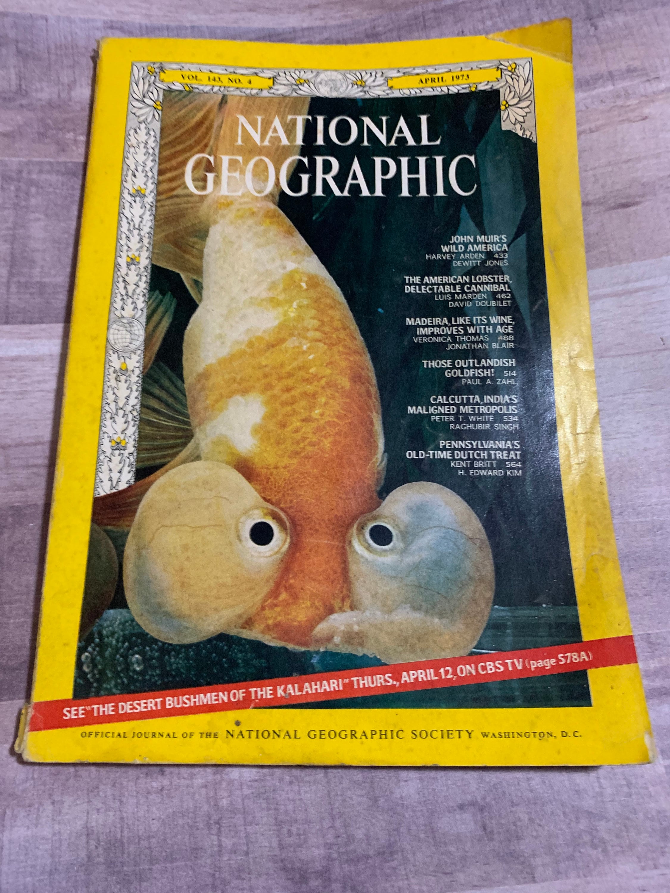 National Geographic April 1973 Issue | Etsy