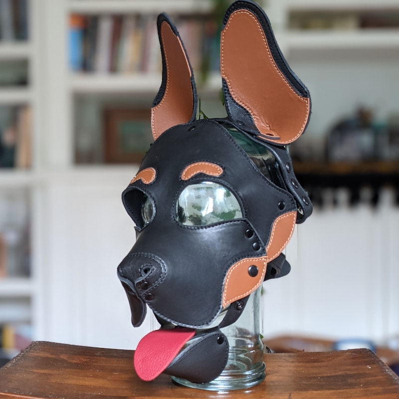 Custom Puppy Hoods - Etsy