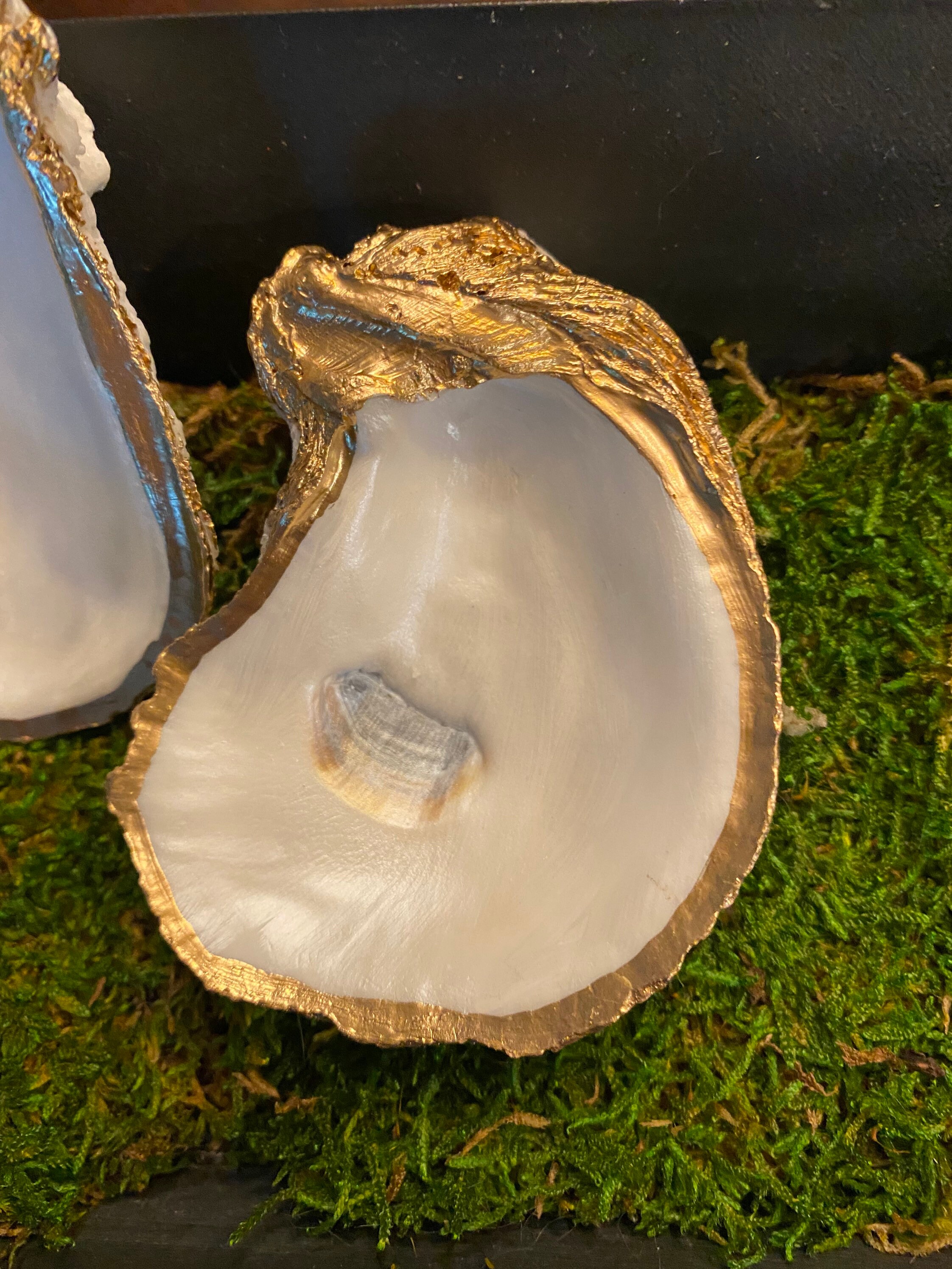 Natural Oyster Shell Trinket Dish | Etsy