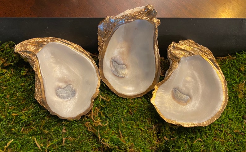 Natural Oyster Shell Trinket Dish - Etsy