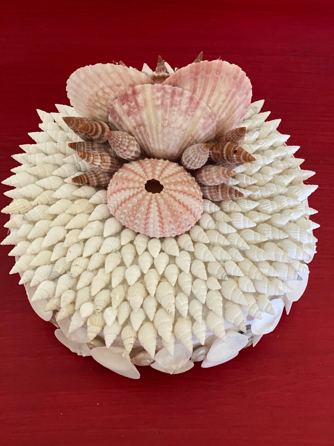 Round White and Pink Small Seashell Box - Etsy