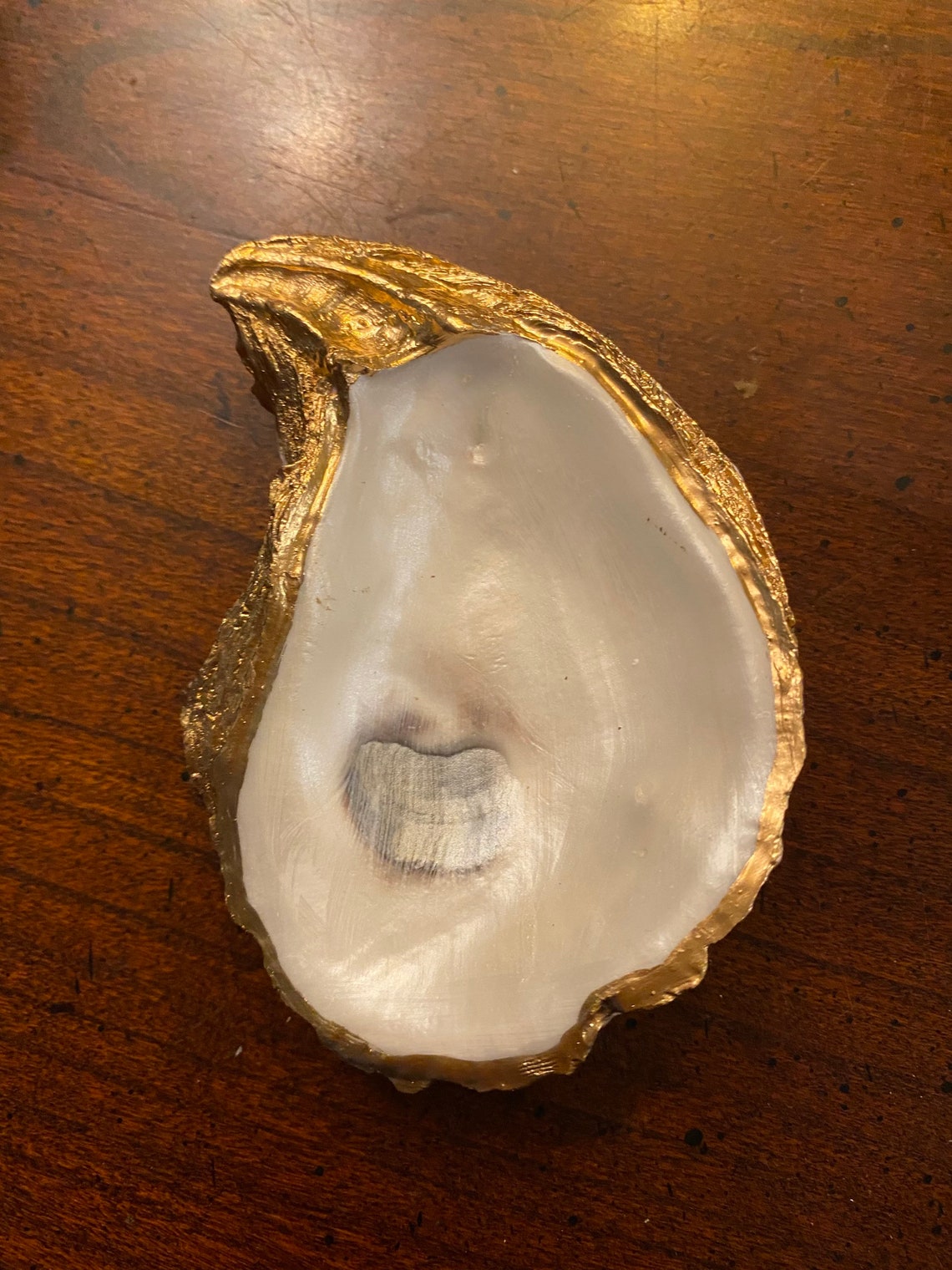 Natural Oyster Shell Trinket Dish - Etsy