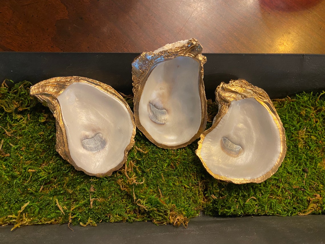 Natural Oyster Shell Trinket Dish | Etsy