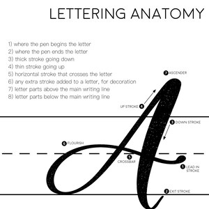PDF Lettering Guide, How to Letter, Lettering Kit, Lettering Beginner ...