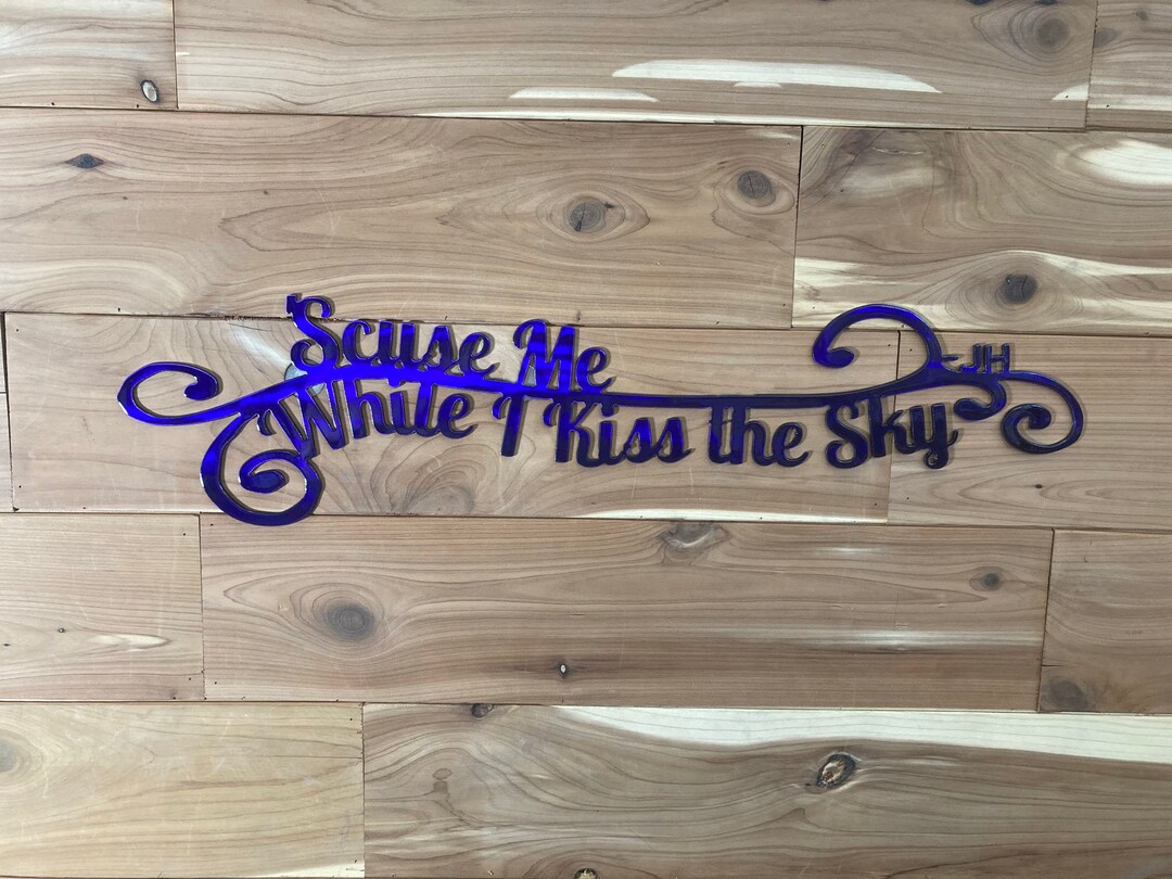 Great Lyrics 'scuse Me While I Kiss the Sky Great for - Etsy