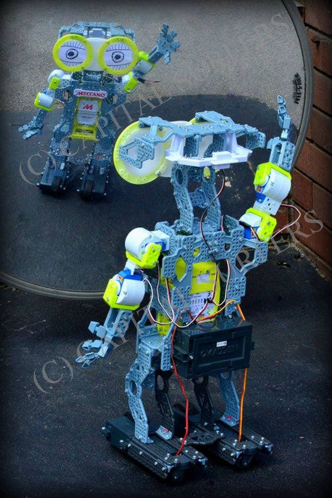 Roberta the Robot With Limited Artificial Intelligence Fails the Mirror ...