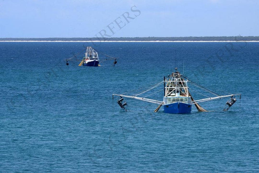 Prawn Trawlers Resting up During the Day at Kings Beach - Caloundra ...