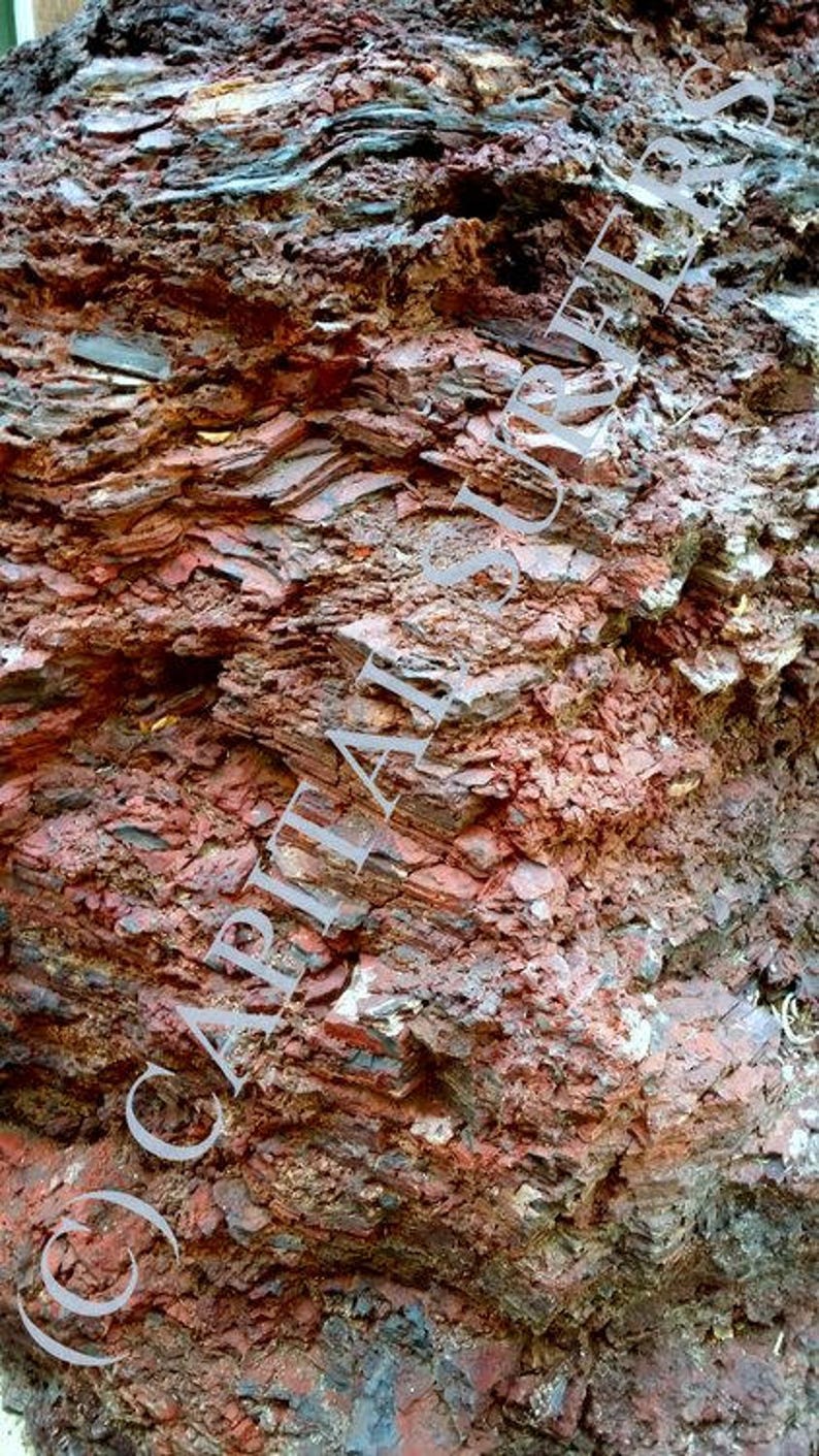 Iron Ore Boulder at Fortescue (FMG) Office - Perth, Western Australia ...