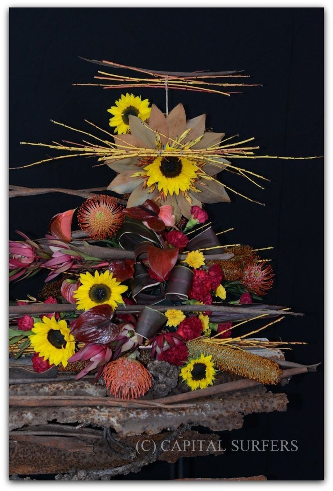 Native Australian Flower Display in the Nambour Garden Show, Queensland ...