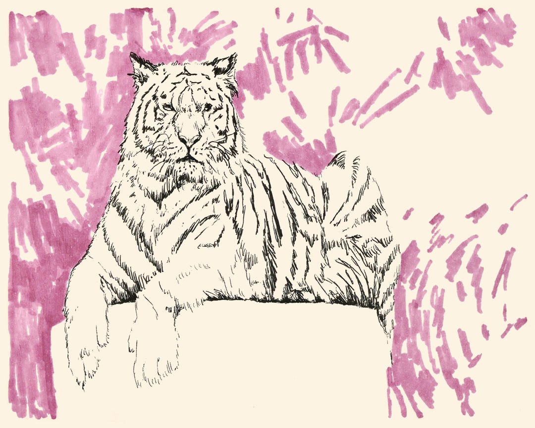 Is It Nap Time Yet? - Archival Print of a Painting of a Tiger Relaxing ...