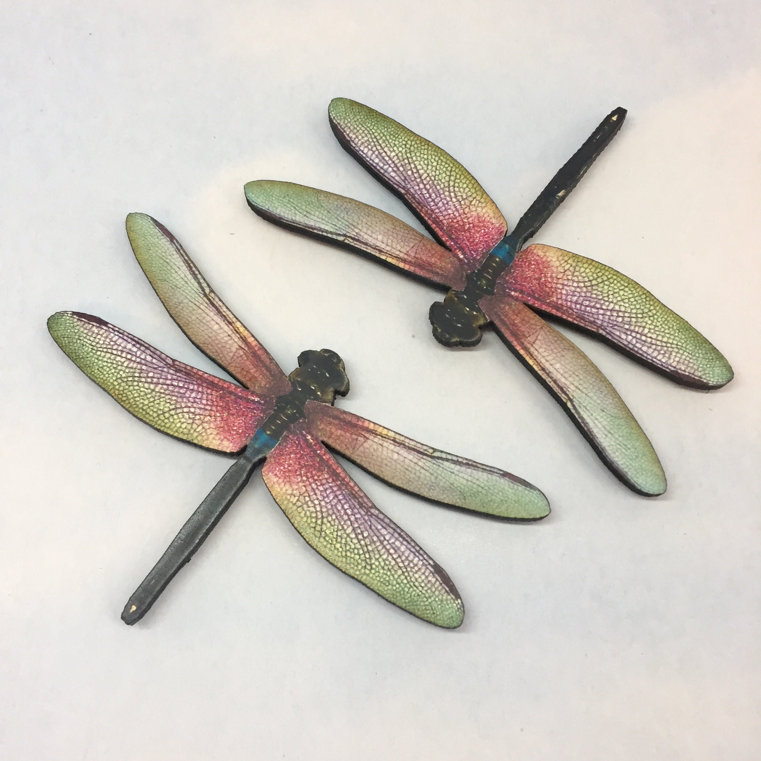 Dragonfly Magnet Setdragonfly Magnetsdragonfly Giftsfridge - Etsy