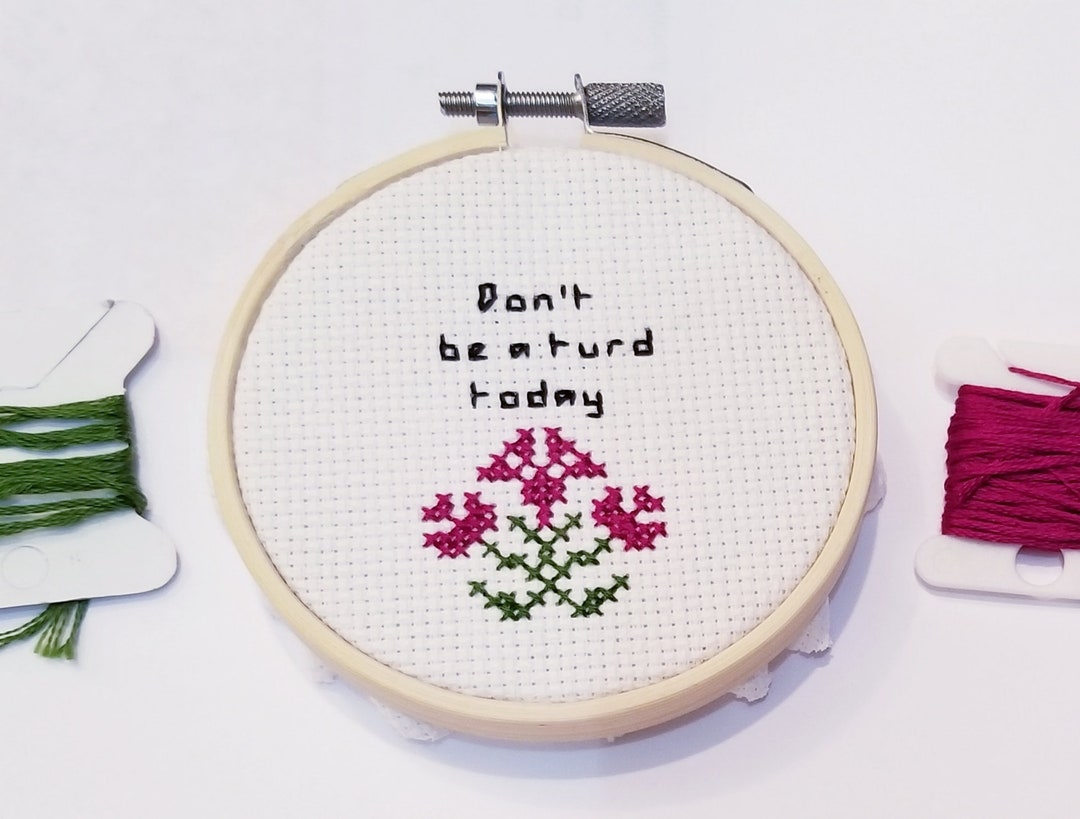 Cross Stitch Complete Subversive Modern Inappropriate Finished ...