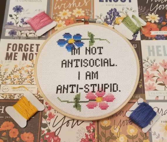 Inappropriate Cross Stitch Pattern Beginner Fun Easy Stitch | Etsy