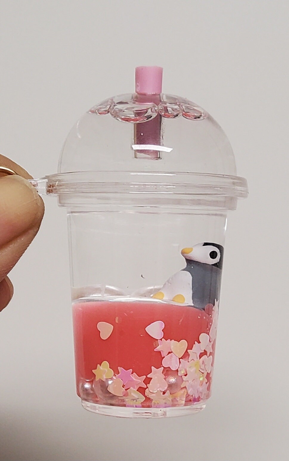 Boba Pet Lipgloss Keychain Set - Etsy