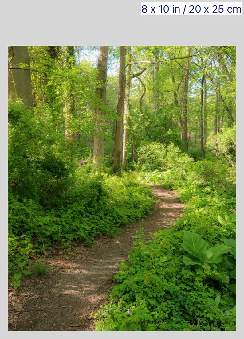 Enchanted Pathway 8x10 - Etsy