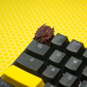 Rathalos Artisan Keycap - Monster Hunter Keycap | Custom Keycaps ...
