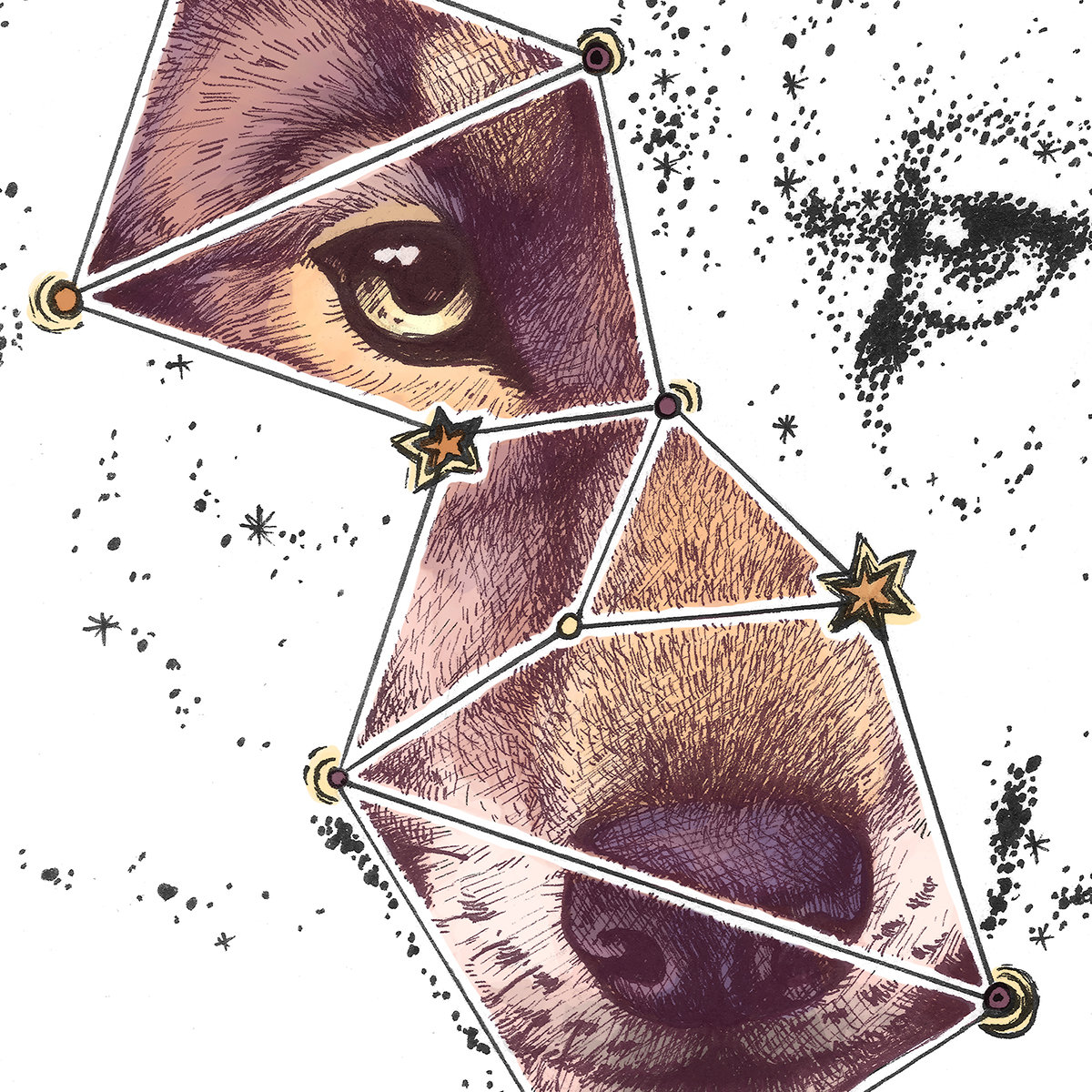 Fine art print of the wolf constellation Lupus | Etsy