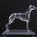 Greyhound - Etsy