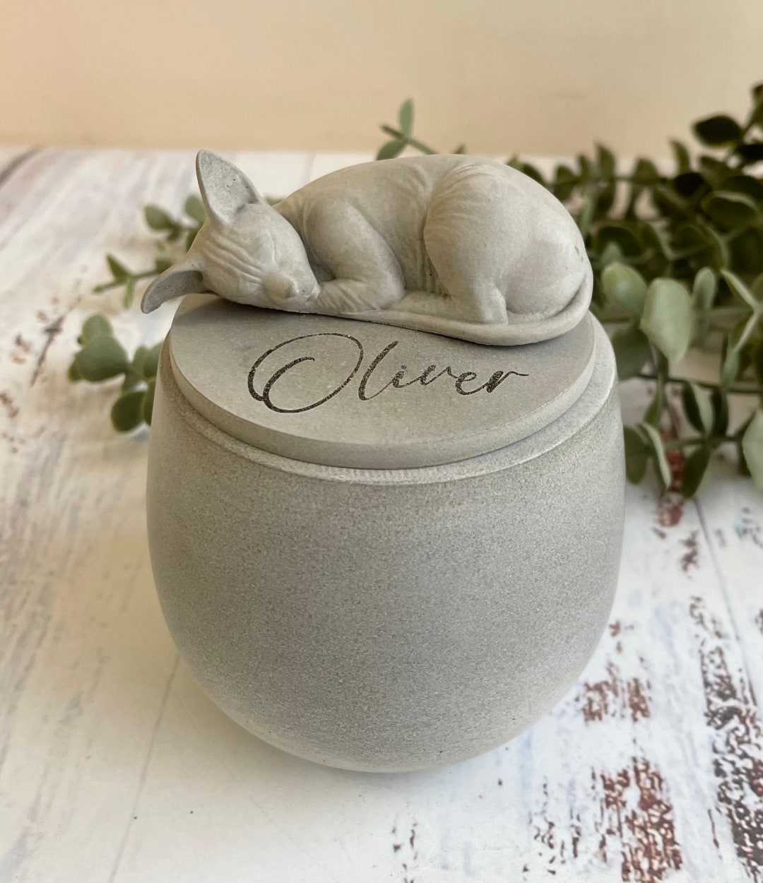 Small Indoor Personalised Concrete Urn Cat Urn Spynx Cat Urn Pet Loss ...