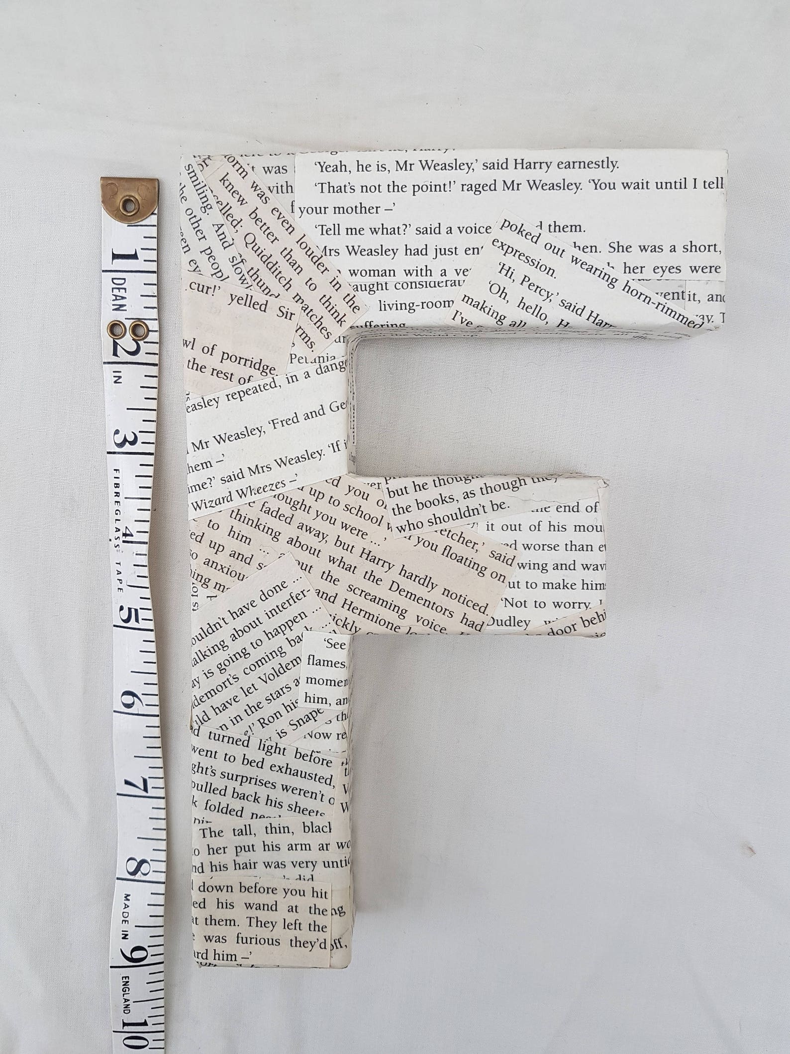 Edgar Allan Poe Book Page Individual Initial Letter, Gothic Literature ...