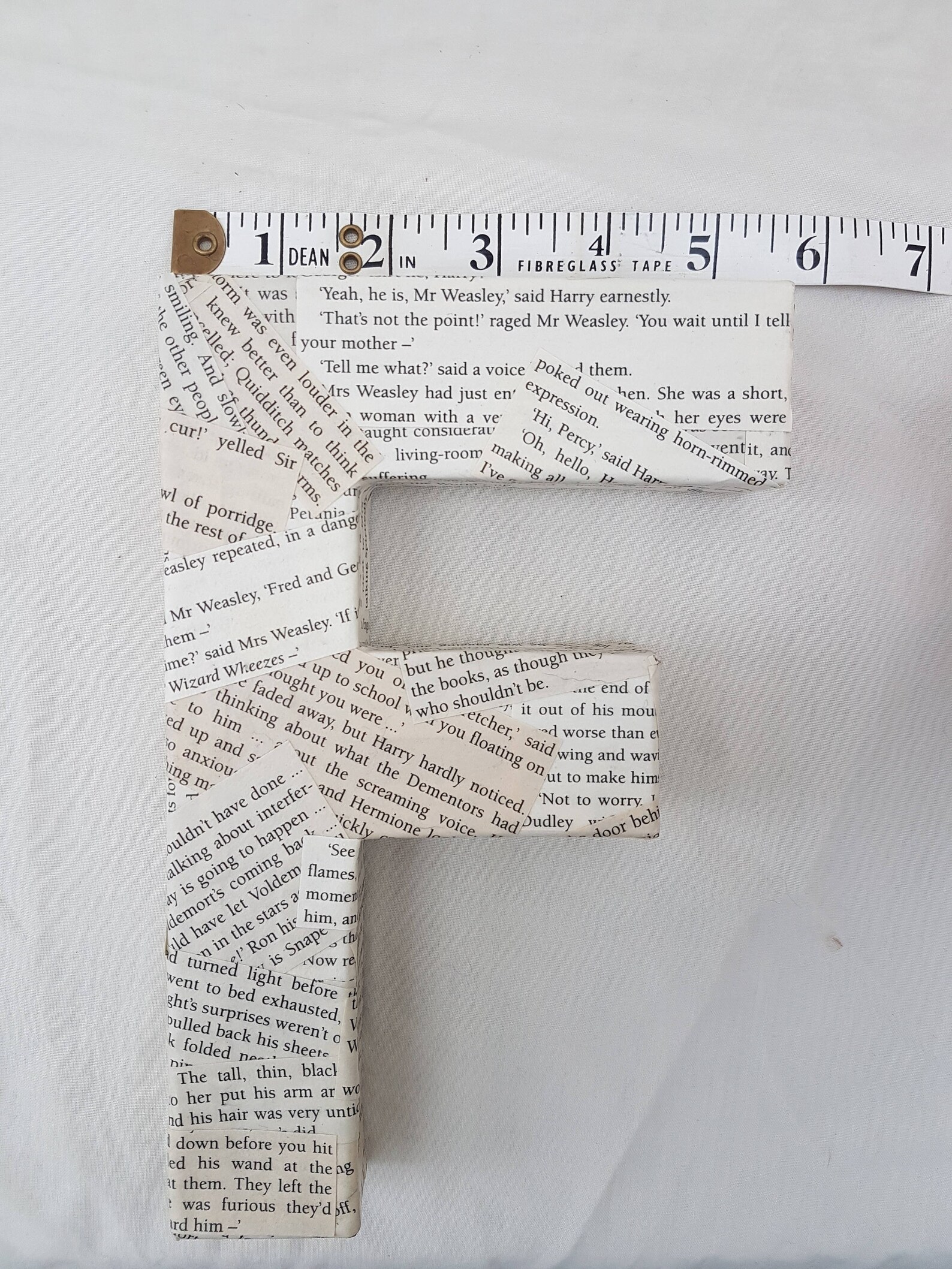 Edgar Allan Poe Book Page Individual Initial Letter, Gothic Literature ...