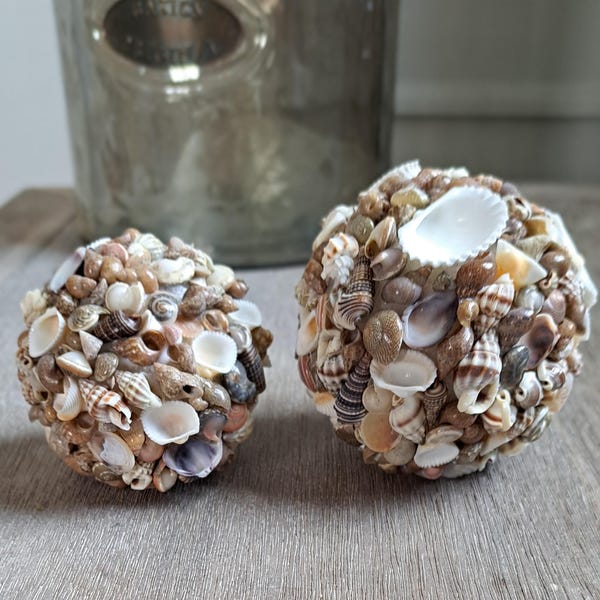 Oyster Shell Ball - Etsy