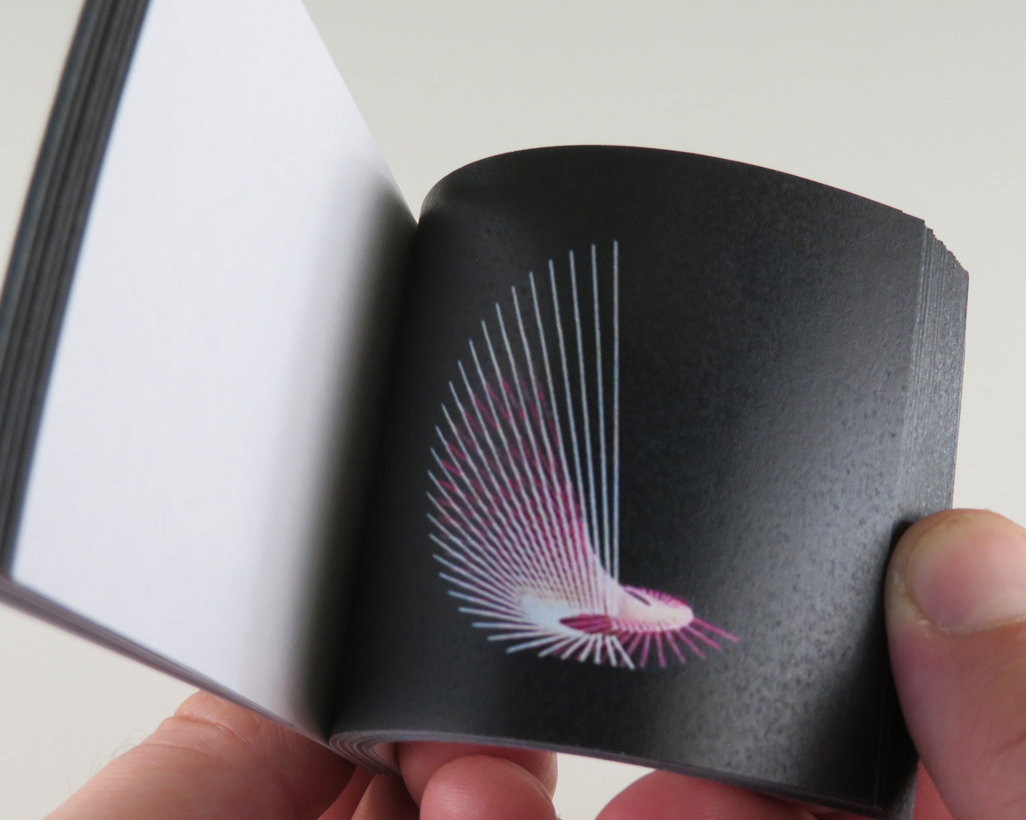 MOTION GRAPHICS Flipbook Digital Download 48 Page Flip - Etsy